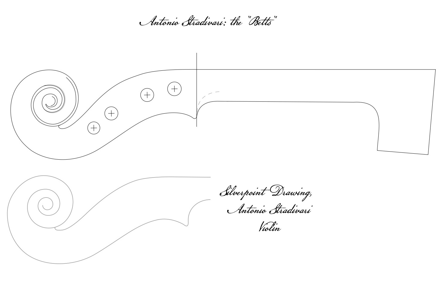 Violin Scroll Outline